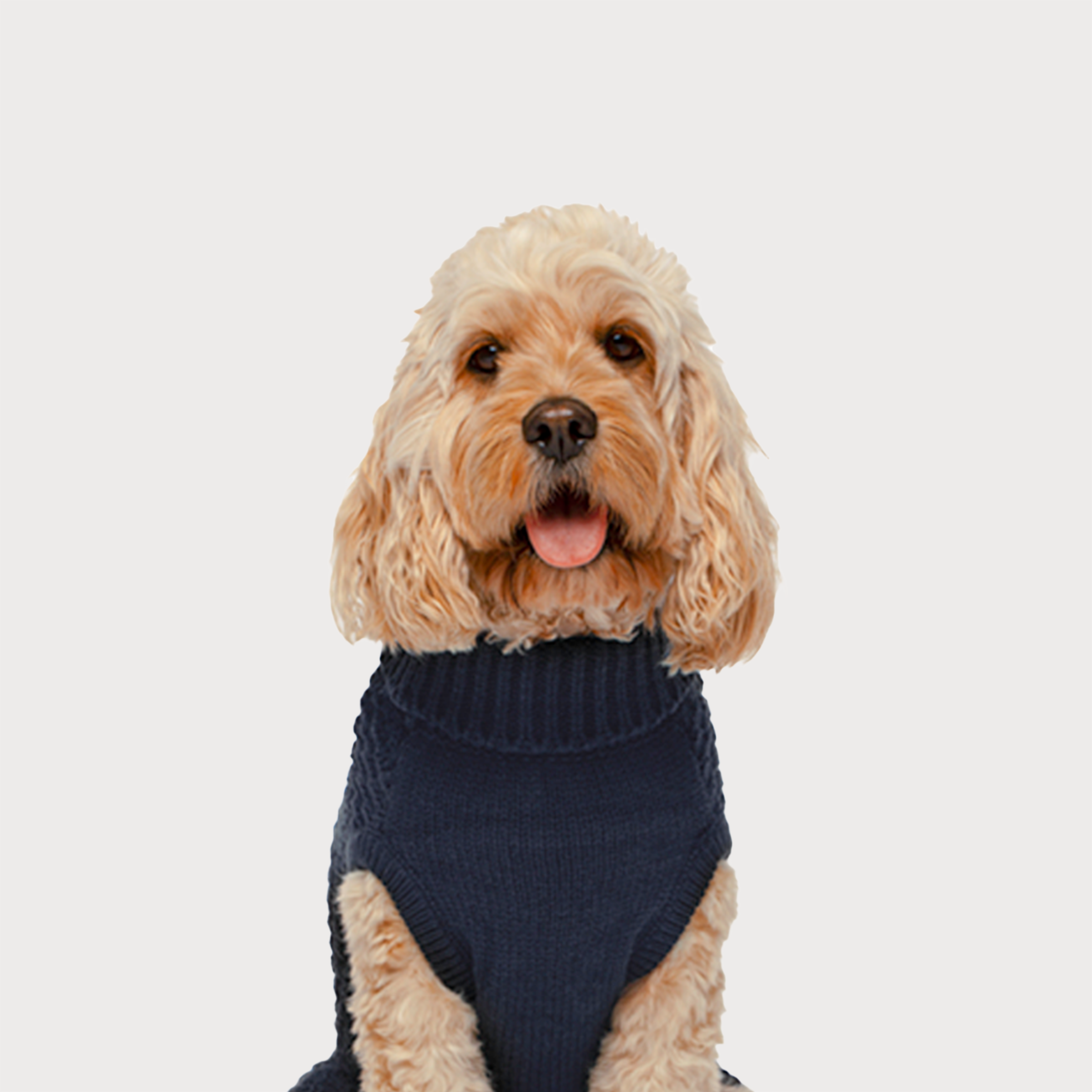 All fabdog Dog Apparel – fabdog®