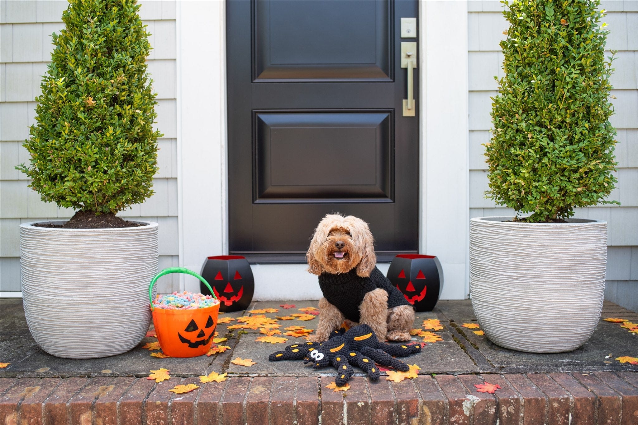 fabdog® made for dogs • loved by humans ️