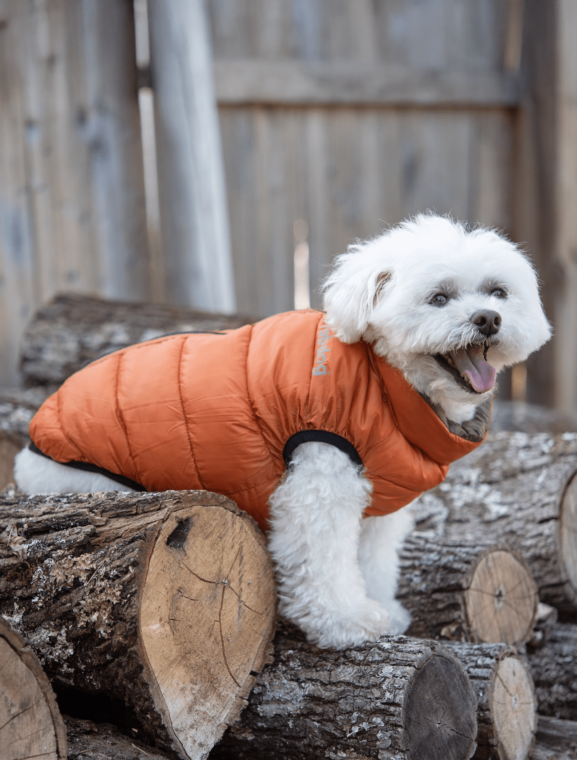 fabdog® made for dogs • loved by humans ️