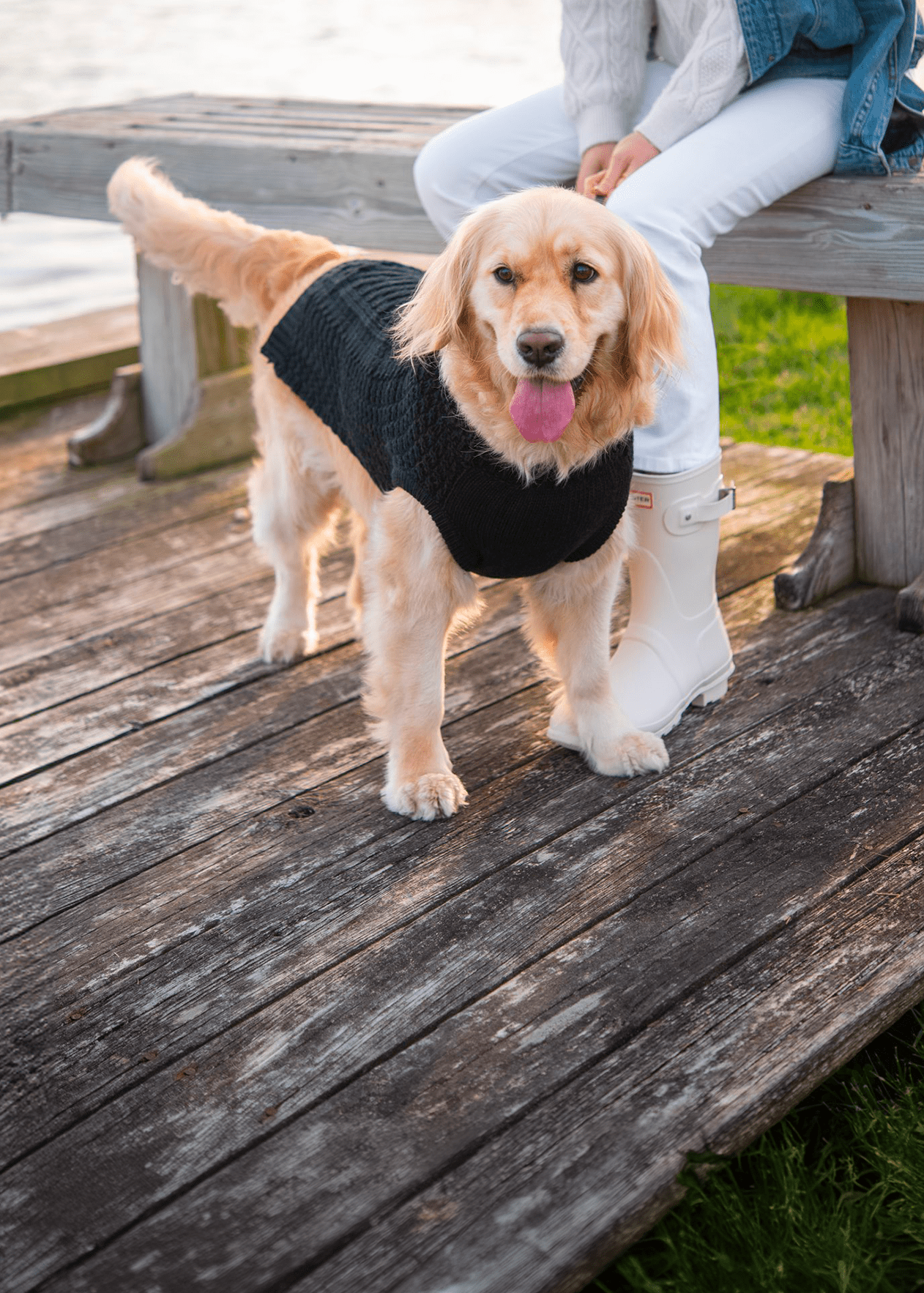 fabdog® made for dogs • loved by humans ️