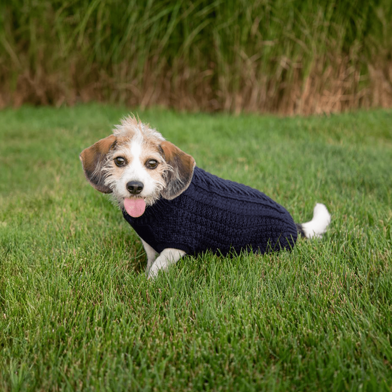 fabdog® made for dogs • loved by humans ️