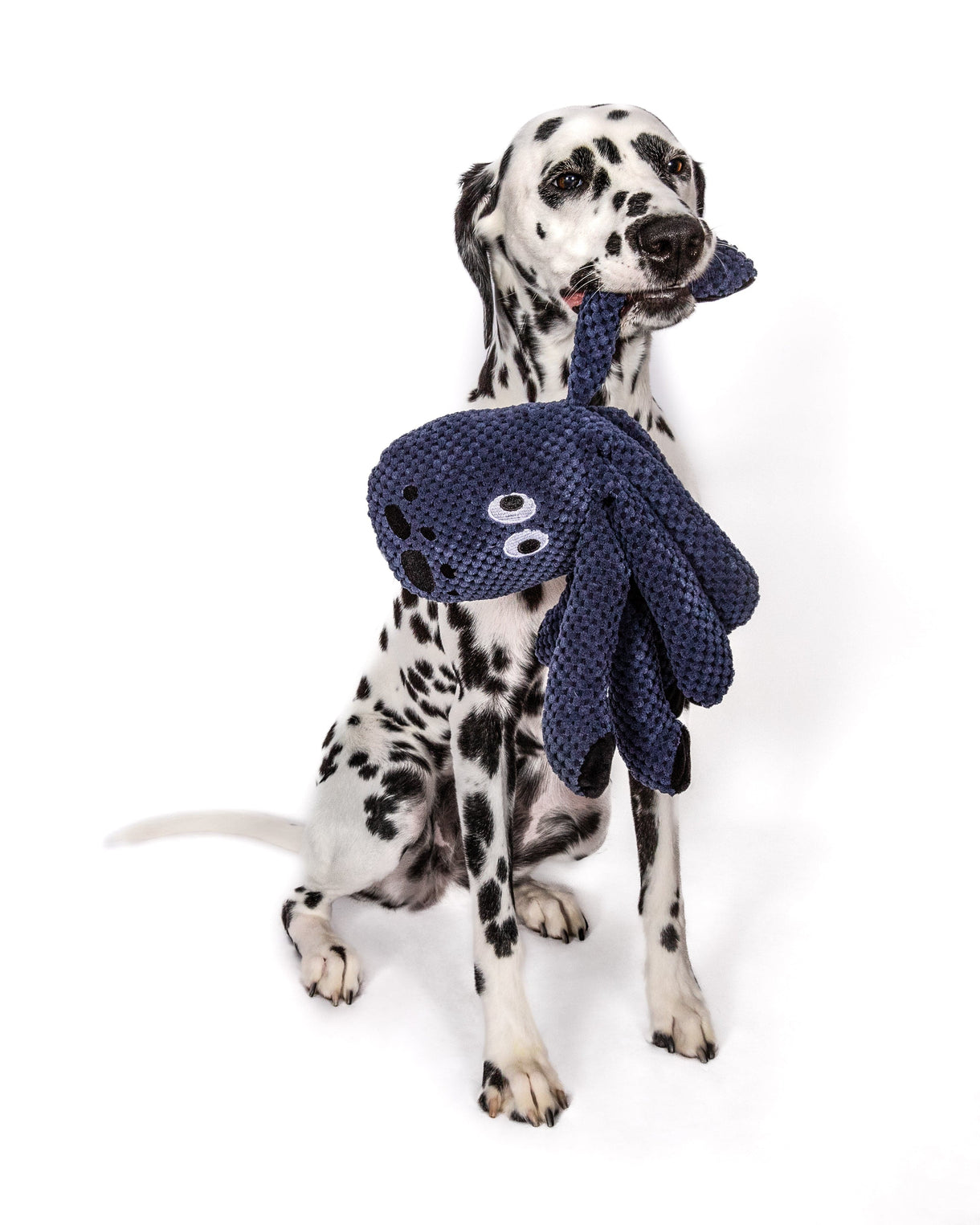 Floppy Octopus Dog Toy – fabdog®